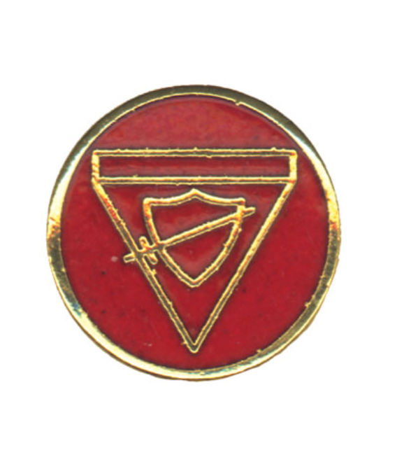 Companion Class Pin