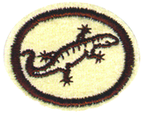 Reptiles Honor | SNEC Youth Store