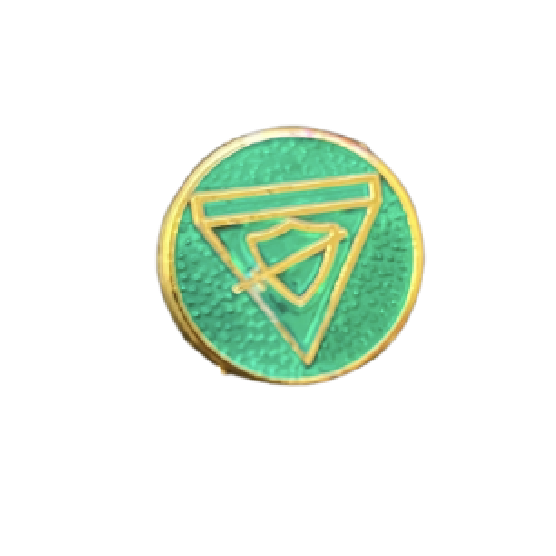 Explorer Class Pin