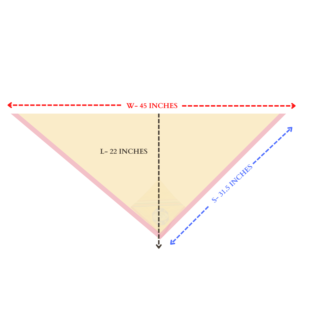 Master Guide Scarf w/ Class | SNEC Youth Store